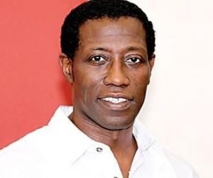 What Is Wesley Snipes’ Net Worth: How Much Did He Earn?