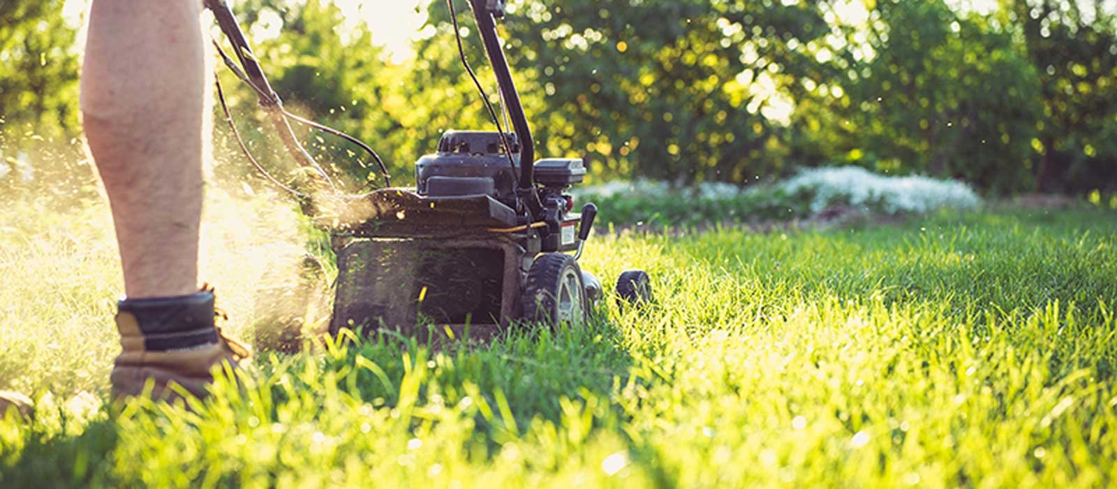 Top Tips to Mowing a Wet Lawn after Rain