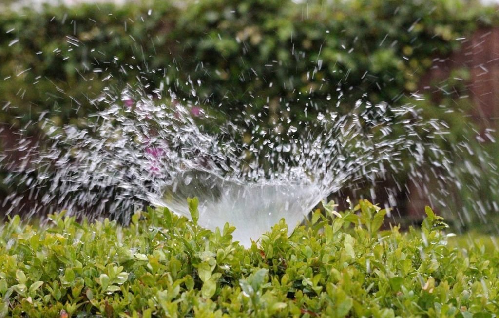 10 Water-Saving Tips for Your Garden