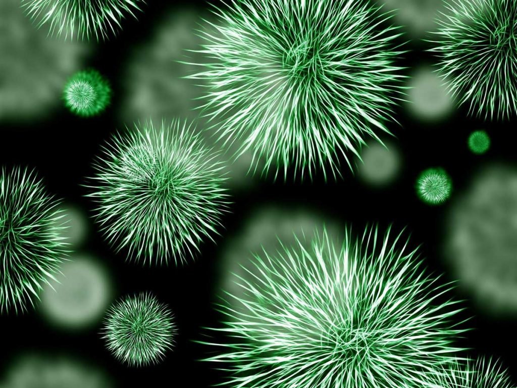 Impact Infections on Our Life, Causes, And Treatment