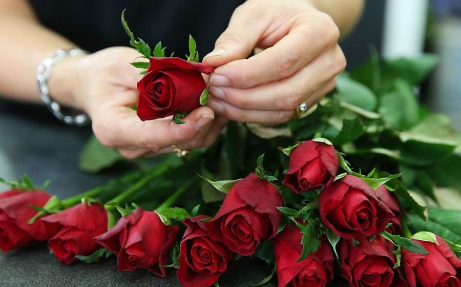 What To Look For In The Best Deal On Valentine's Day Roses