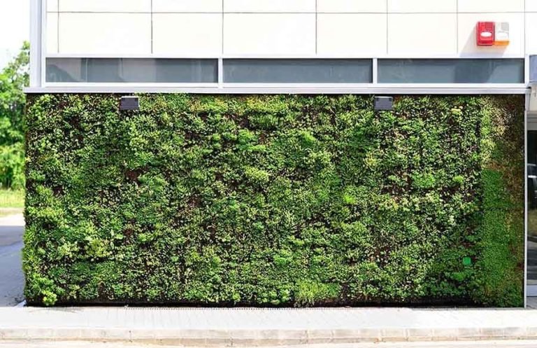 5 Facts About a Fake Plant Wall