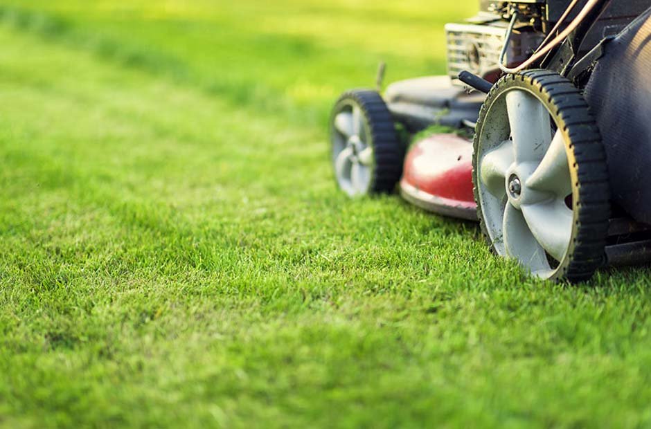 The Importance of Proper Lawn Care in New Orleans: Maintaining a ...