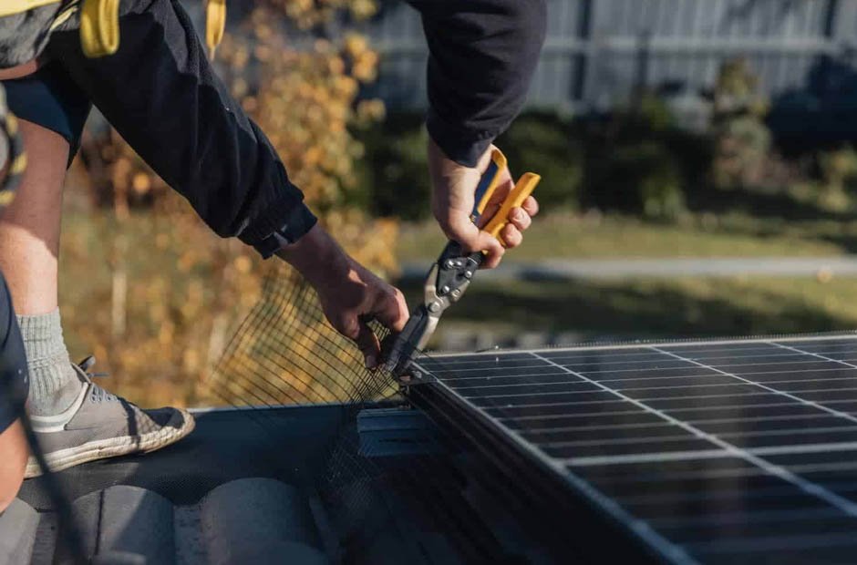 Protecting Avian Friends: A Comprehensive Guide to Solar Panel Bird ...