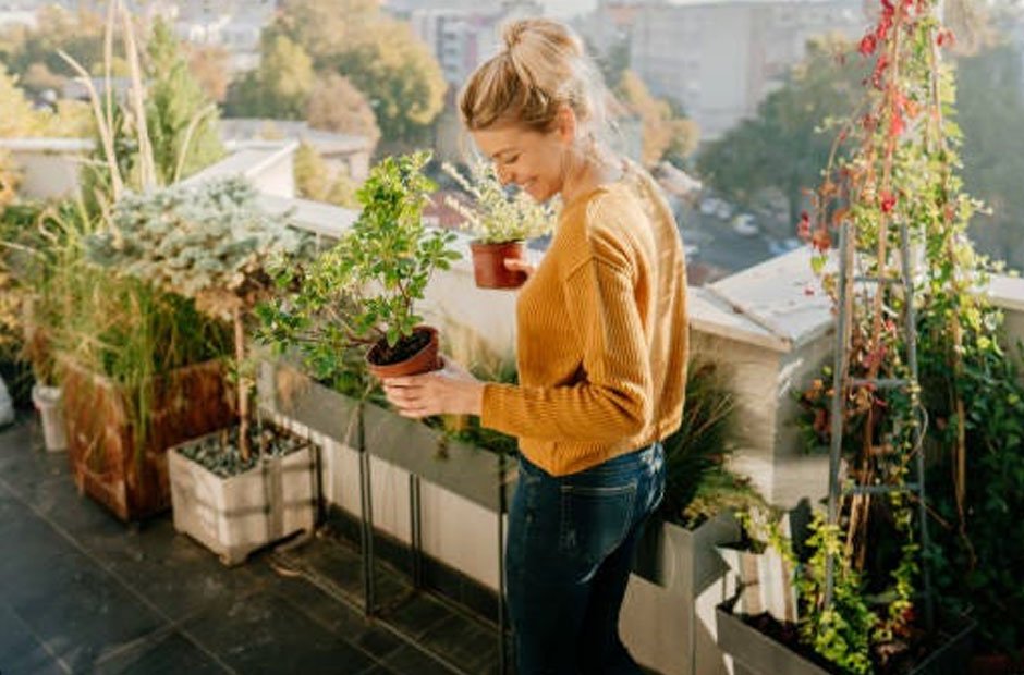 Bring Some Healthy Greenery Into Your Home With These Hearty Houseplants