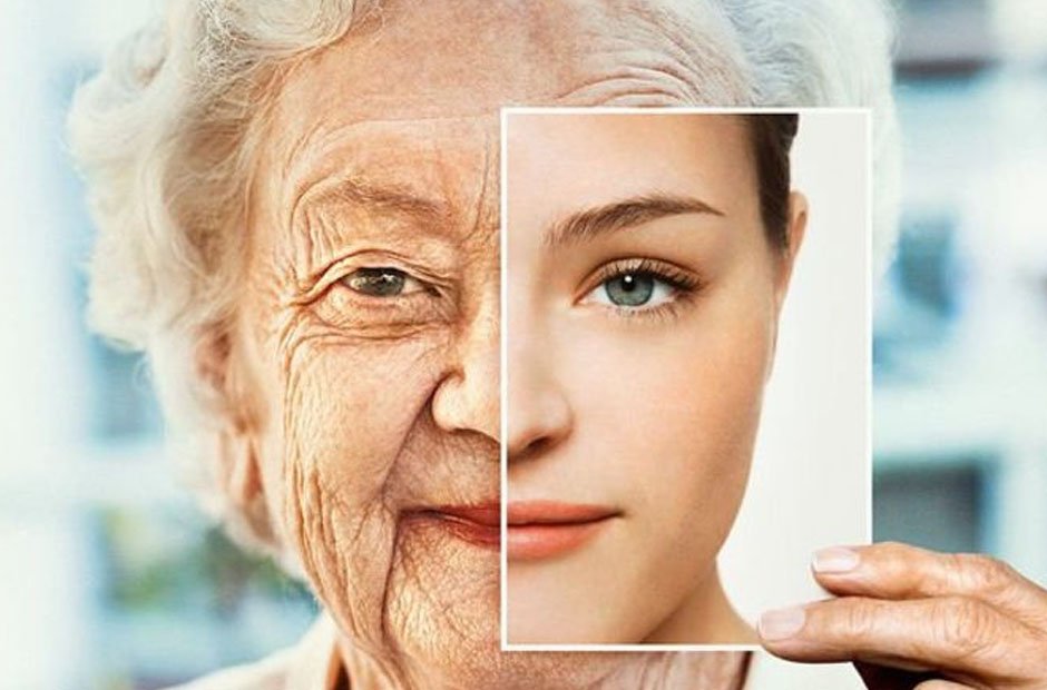 The Science of Aging Reversal - Understanding the Possibilities